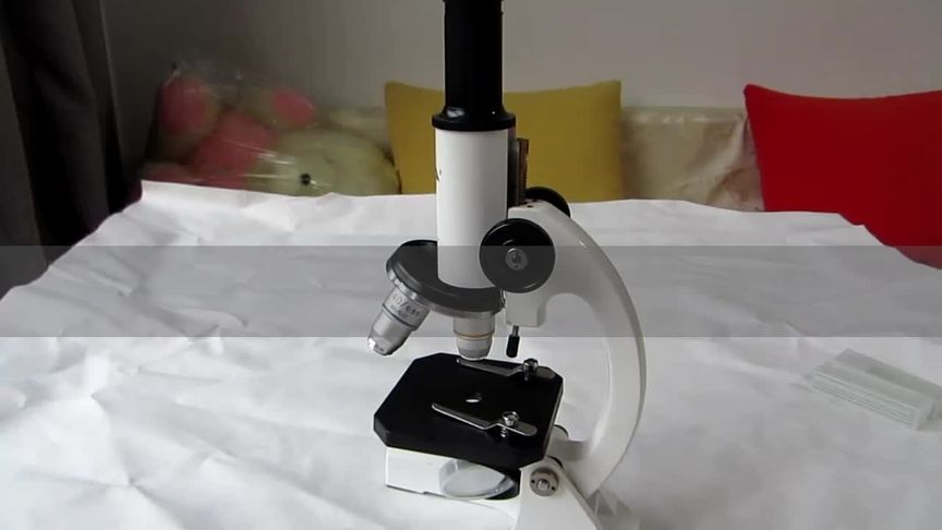 100块买了一台显微镜,感叹微观世界太震撼了,钱没白花