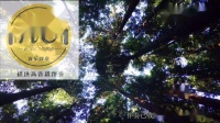 凤凰传奇 往事+全是爱串烧 伴奏 无损超清伴奏 【伴奏定制】