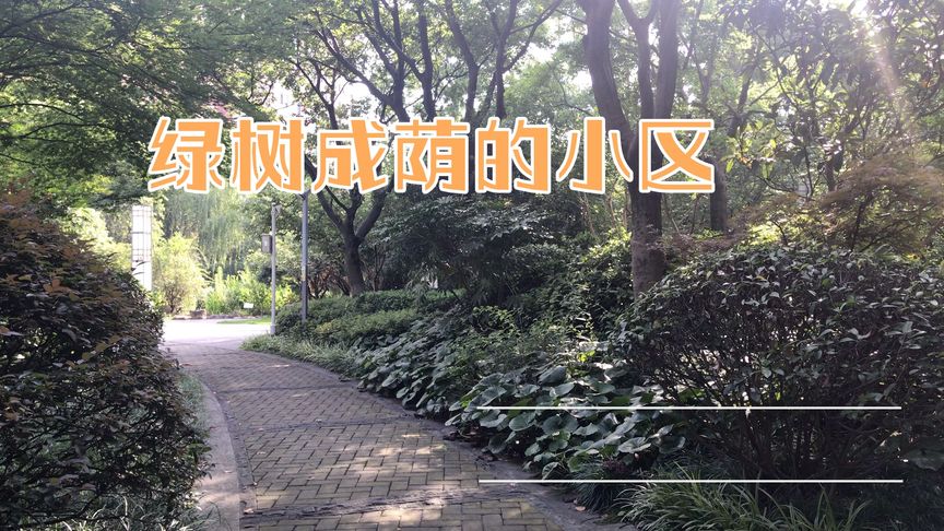 小区有这么高的绿化覆盖率,羡慕!