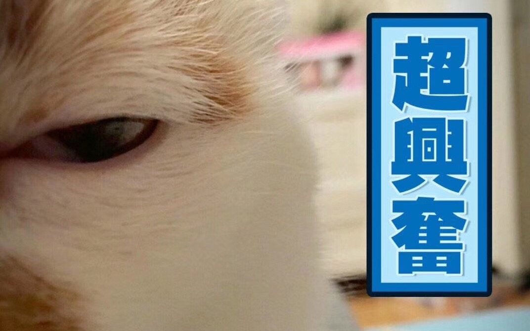 动物介绍类视频~