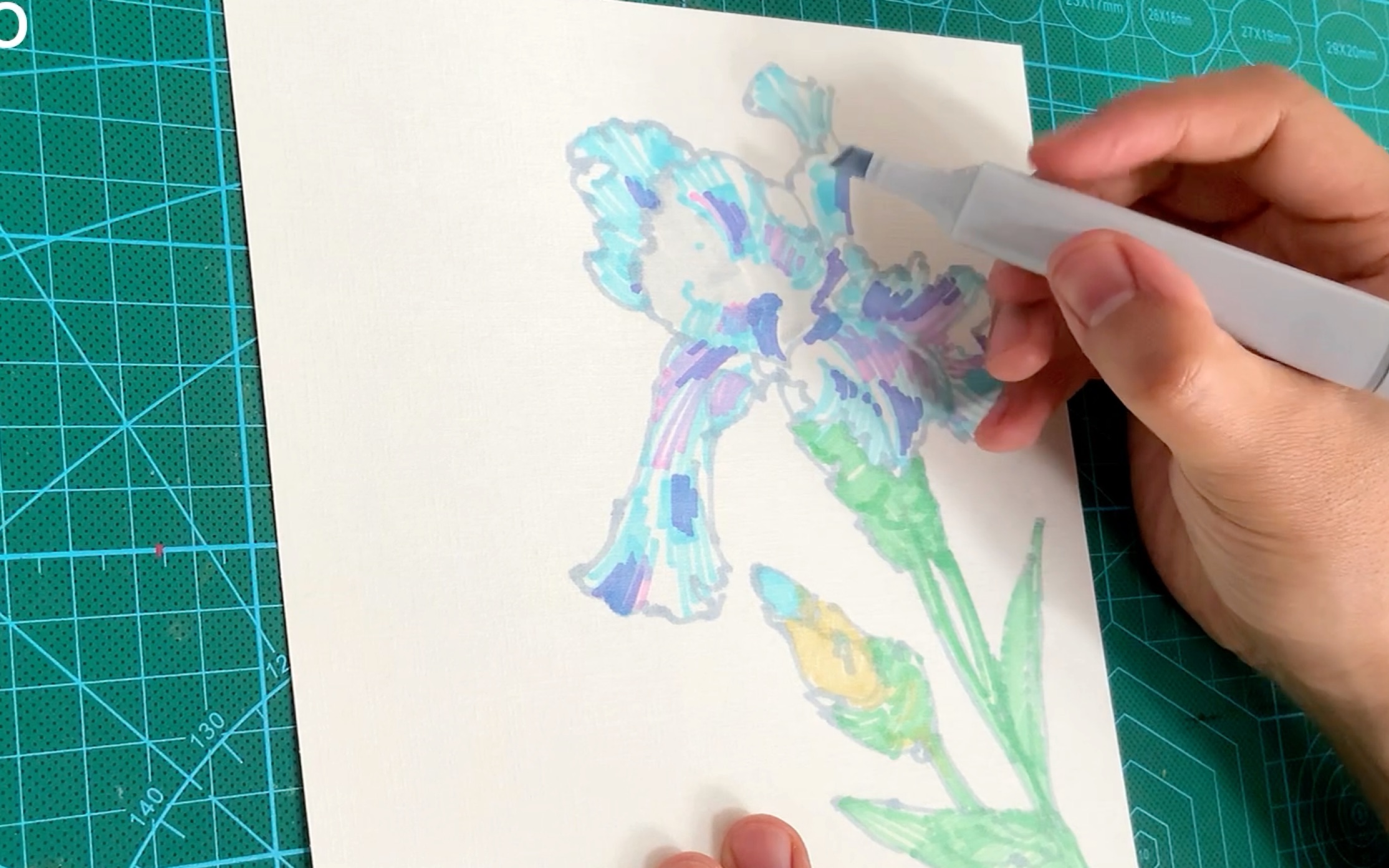 马克笔速写鸢尾花
