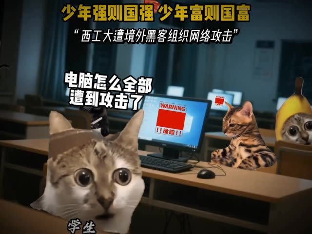 电脑怎么全部遭到攻击了