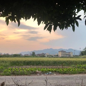 总在帅里挣扎 