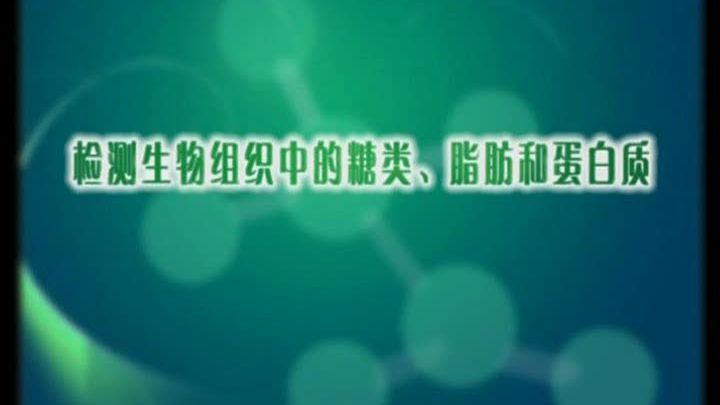 检测生物组织中的糖类、脂肪和蛋白质