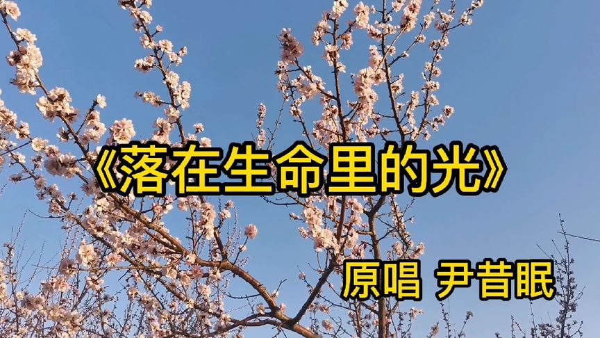 你是落在我世界里的一束光