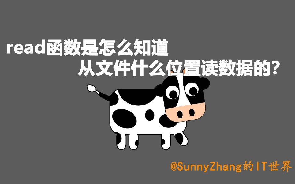 read函数是怎么知道从文件什么位置读数据的?