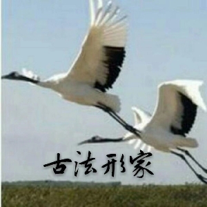 林来锦通天局 