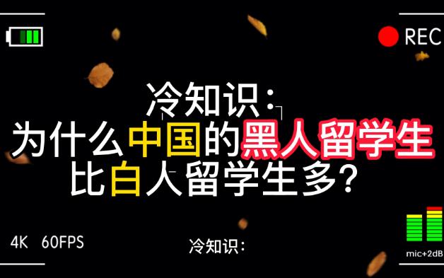 冷知识:我国的黑人留学生为什么这么多?