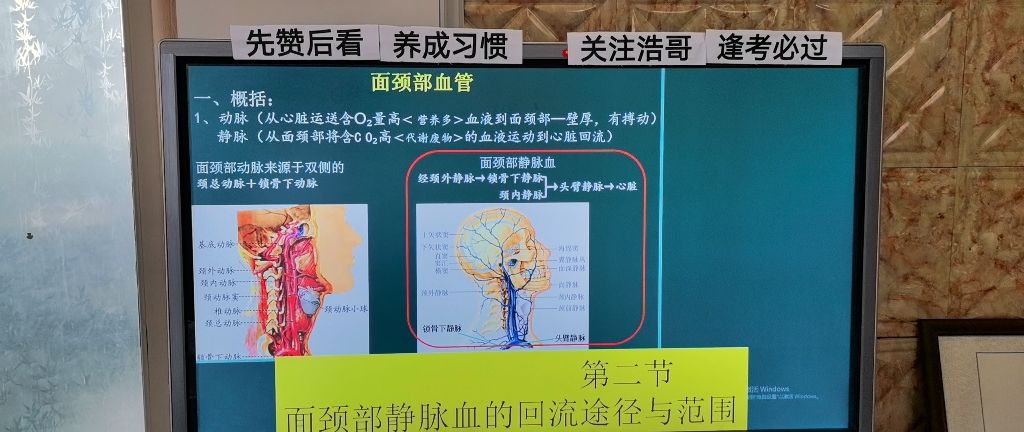面颈部血管～静脉血管前言