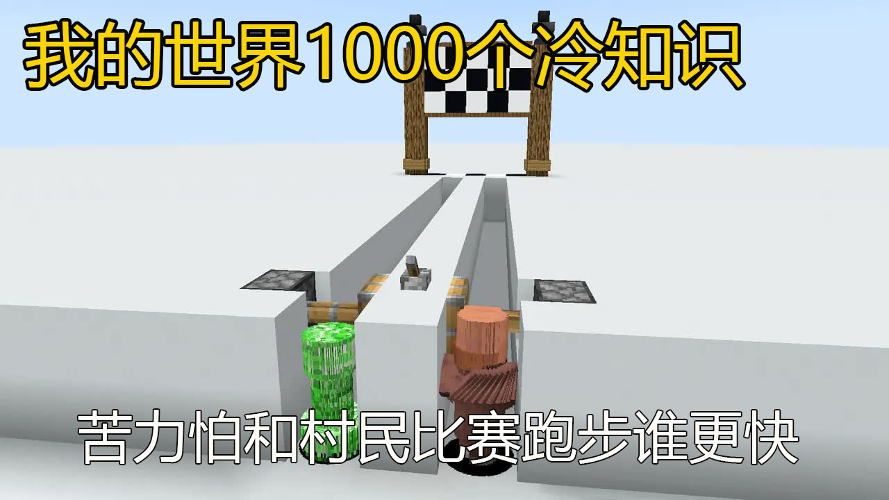 苦力怕和村民比赛跑步谁更快 我的世界1000个冷知识_哔哩哔哩bilibili_...