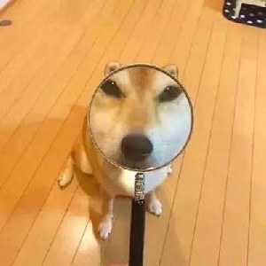 HKzzzzzzzz 