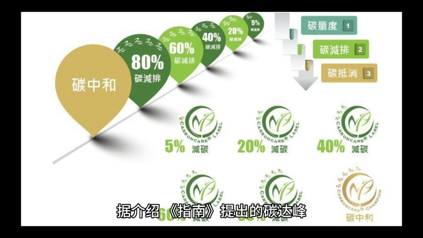 碳达峰碳中和标准体系建设指南