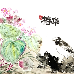 椿华国画社 