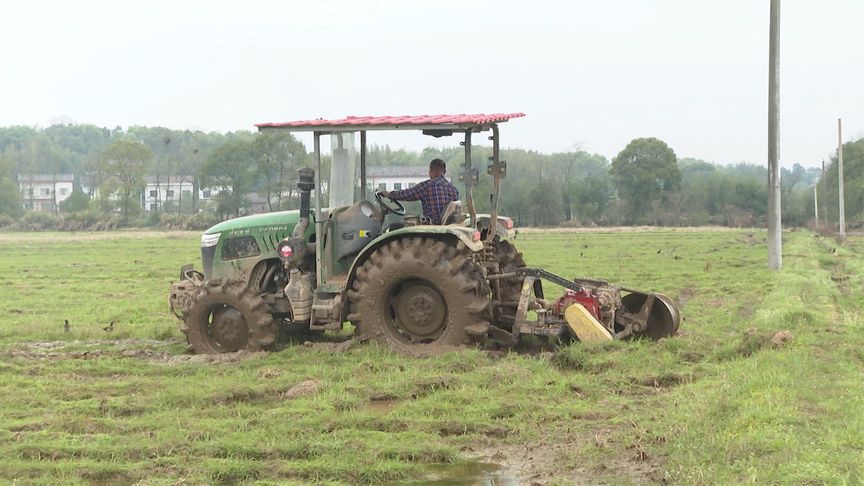 多快好省:水稻机插秧、抛秧现场演示