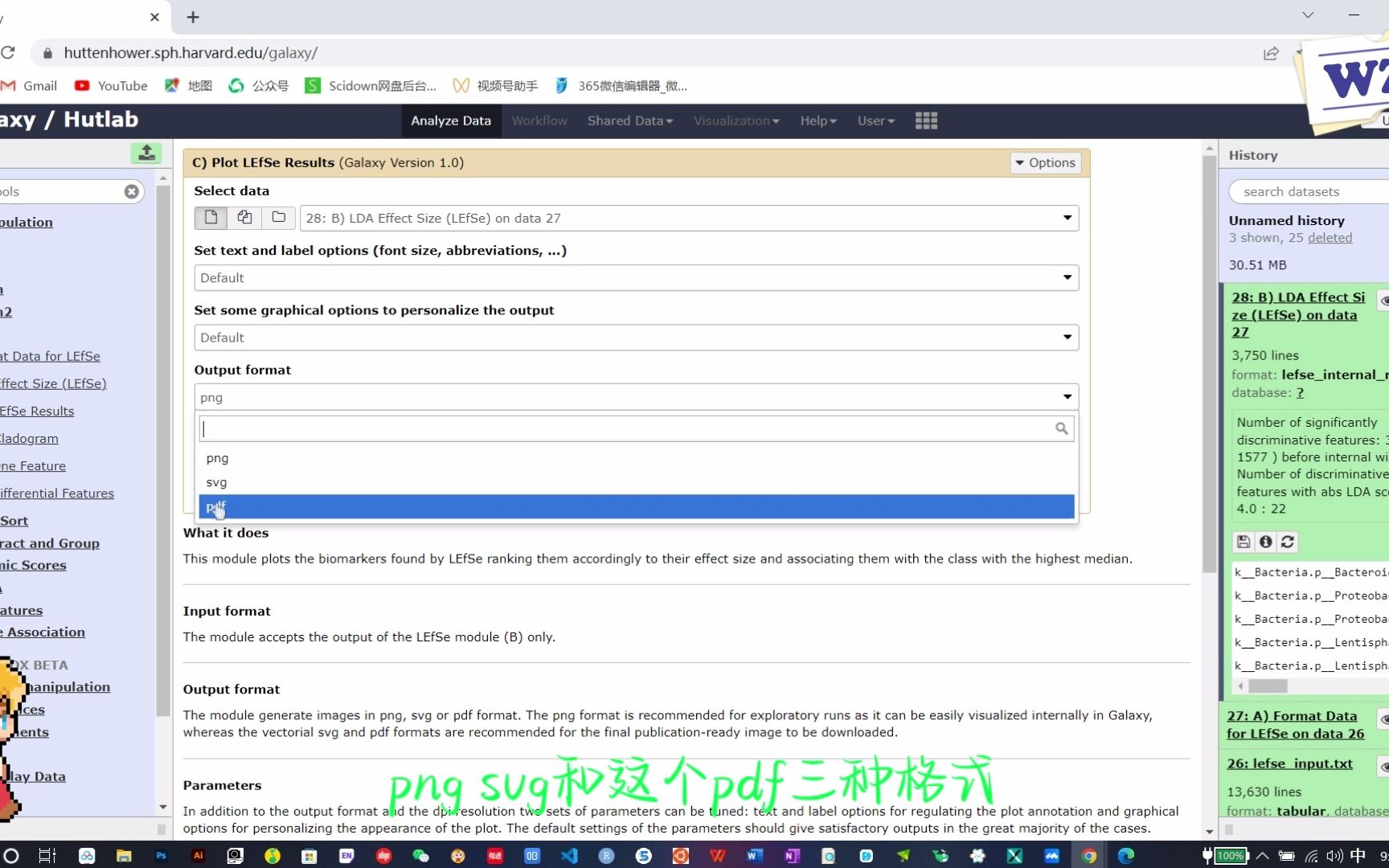 如何进行LEfSe分析?