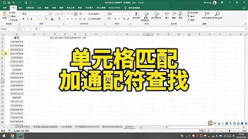 单元格匹配加通配符查找