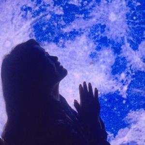 傲梅夏荷的音画视频