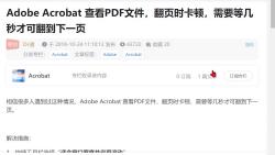Adobe Acrobat 查看PDF文件,翻页时卡顿,需要等几秒才可翻到下一页