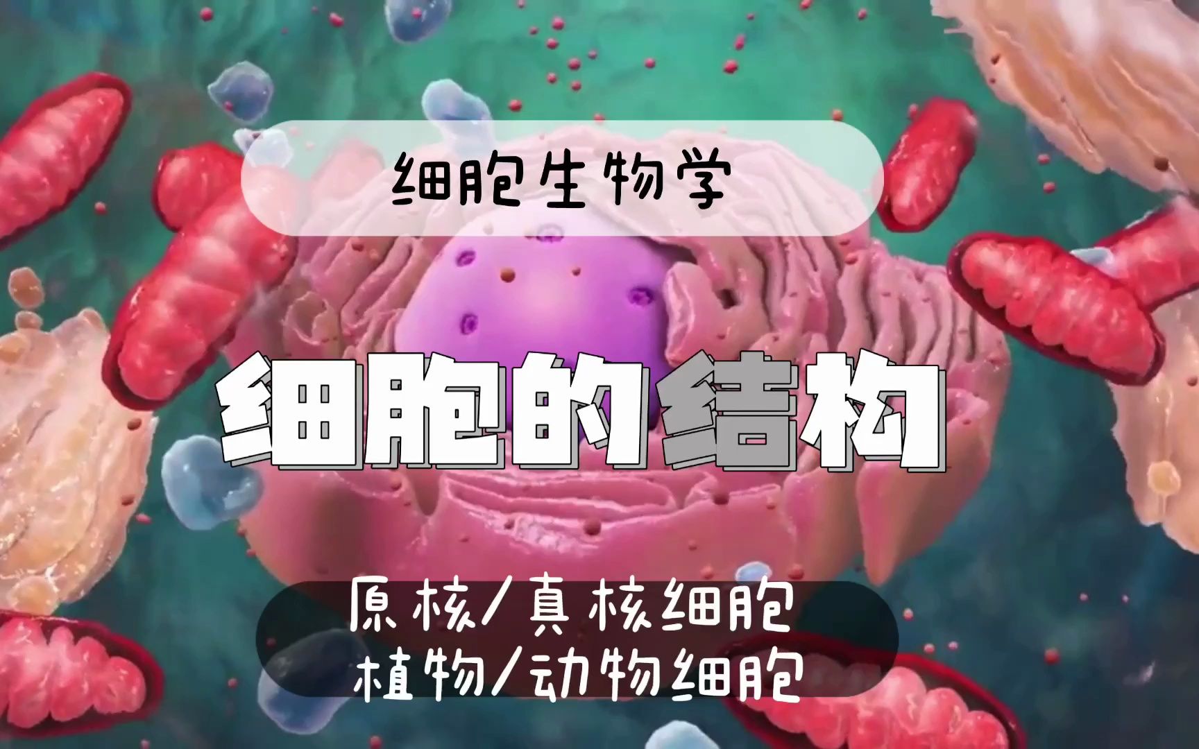 细胞的结构(中英文字幕)