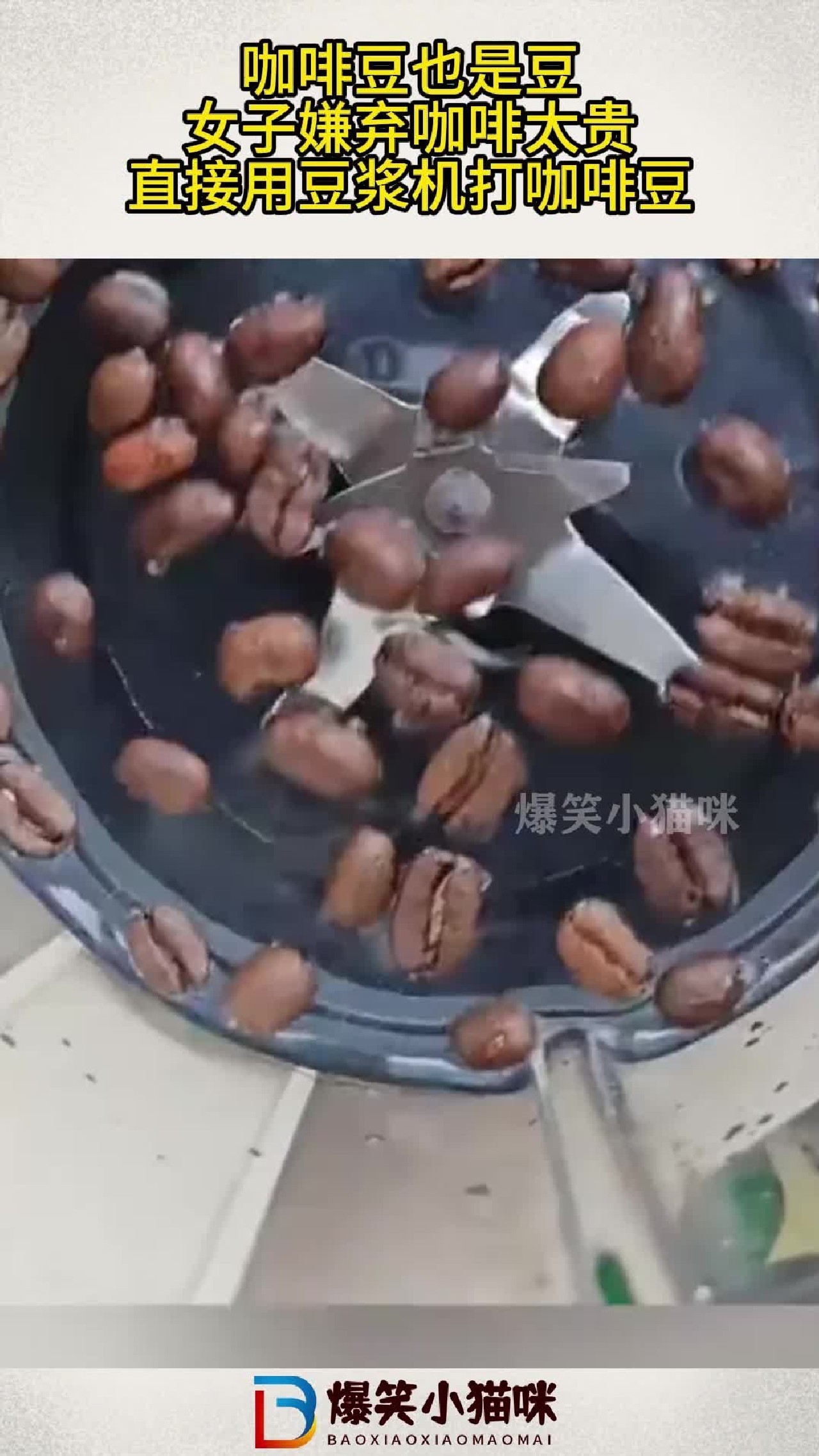 咖啡豆也是豆,女子嫌弃咖啡太贵,直接用豆浆机打咖啡豆!