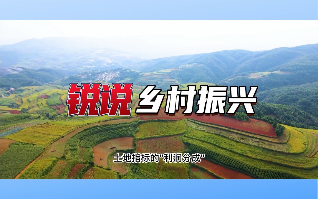 土地综合整治业务及三种典型案例(14)#土地指标交易#乡村振兴项目筹划