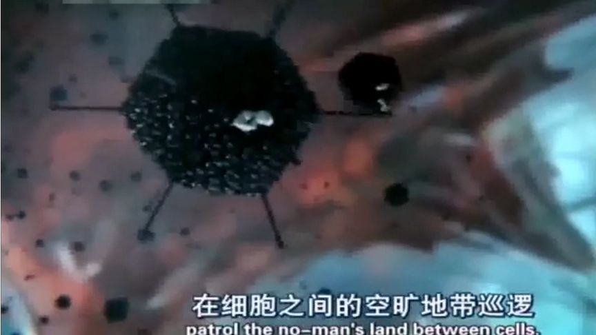 病毒入侵人体细胞过程!看完深有感悟