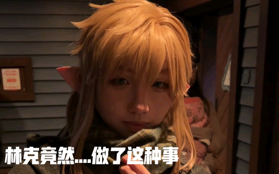 【林塞】林克竟跟随塞尔达公主进女厕(不是)【塞尔达传说】