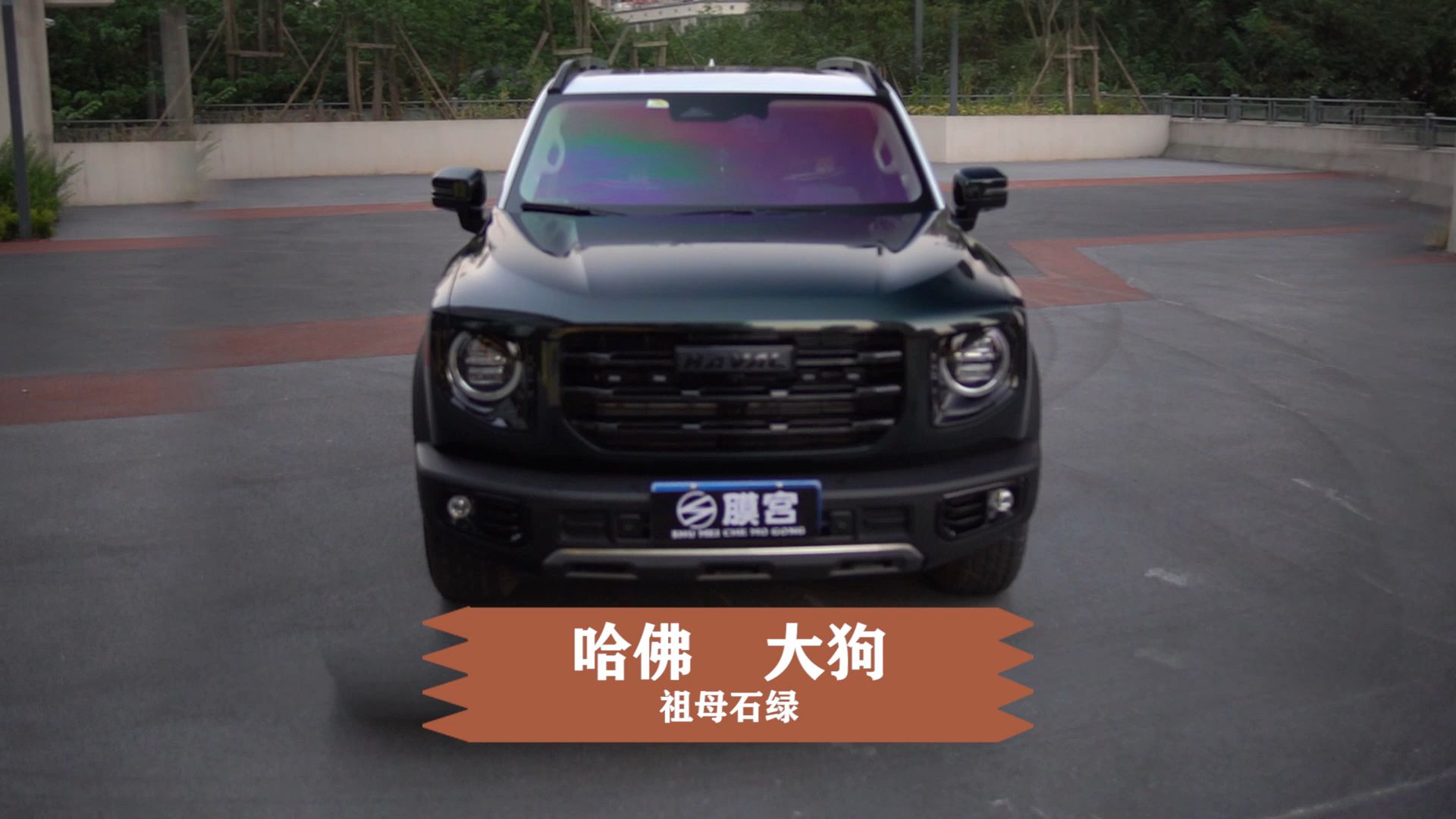 哈佛大狗双拼改色案例分享