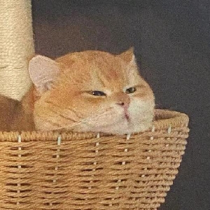 我想发财你懂吧 