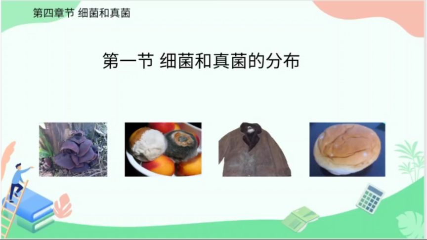 细菌和真菌如何培养?五彩斑斓的菌落是怎么形成的?