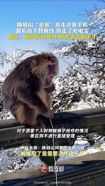 .这属于医疗事故类事件,景区会负责处理。对于游客个人财物被猴子.