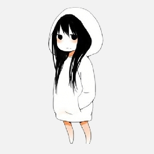 振兴中华hl 