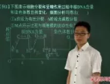 [21647-37]高考生物一轮总复习 高阳(2)细胞增殖-有丝与减数的综合例1...