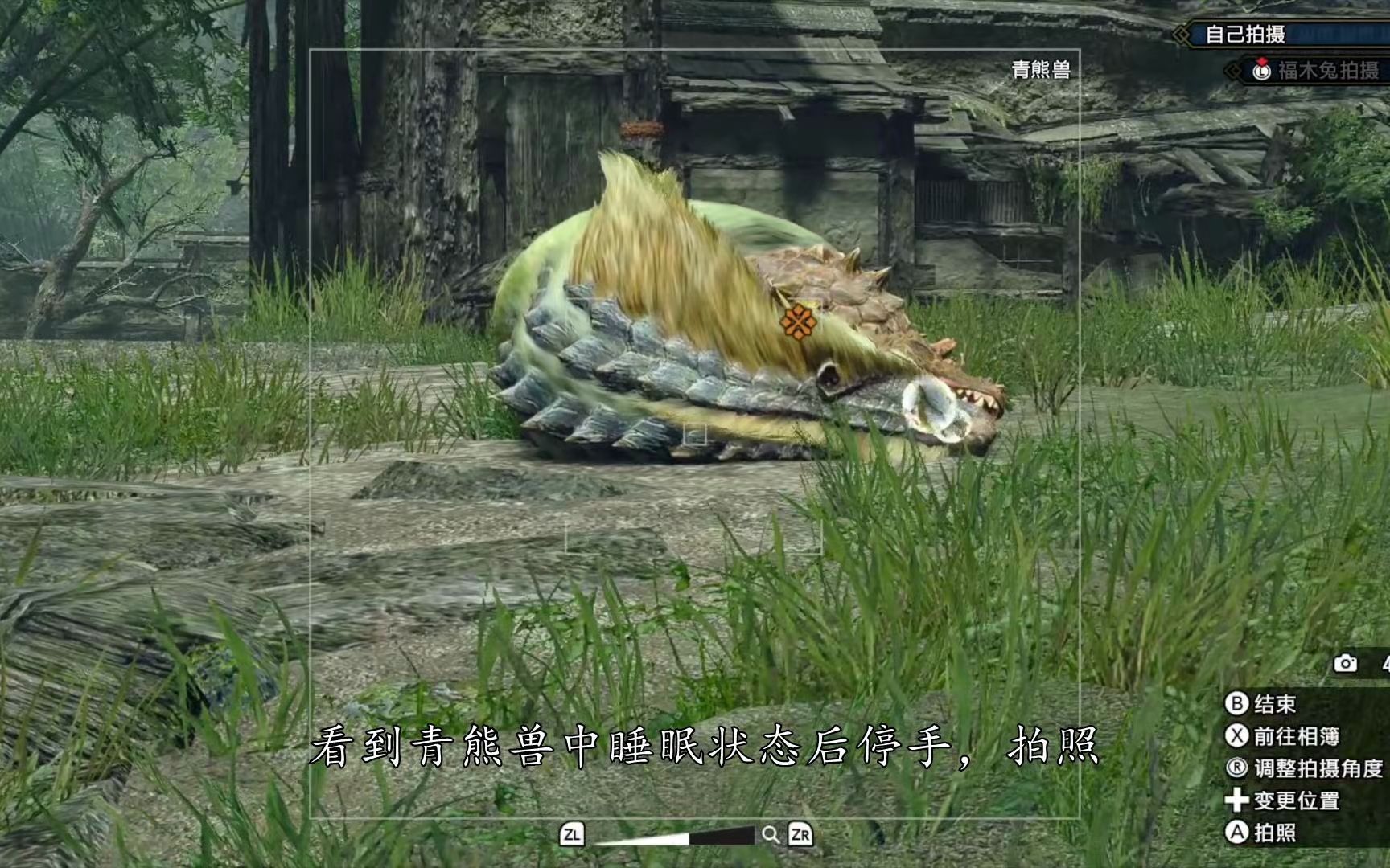 怪物猎人崛起 酣睡的青熊兽任务快速做法