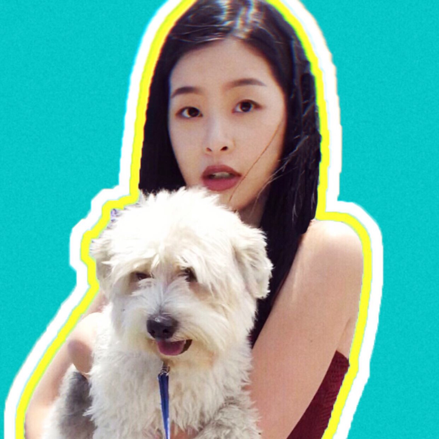 非严肃影迷Lydia 