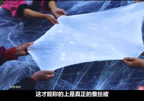 你见过古法手工制作的蚕丝被嘛,还原制作过程