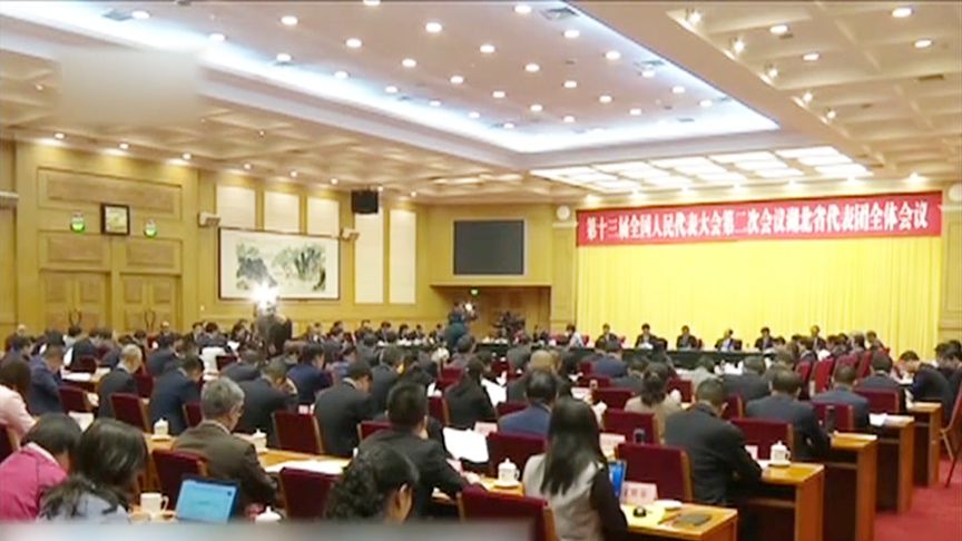 十三届全国人大二次会议代表团全体会议,审议各项决议草案