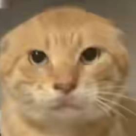 今日吃好点 