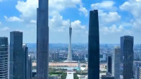 网上办 掌上办 就近办!广东出台全国首部政务服务数字化条例