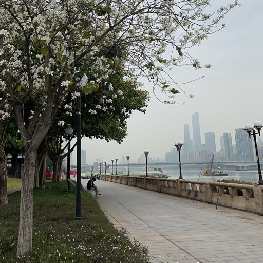 产品质量分析鉴定 