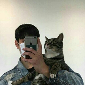 太阳T刺眼 