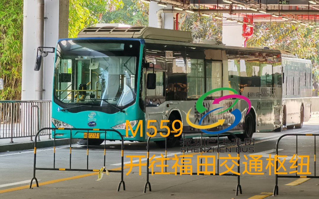 [纪念视频,即将报废的比亚迪K9B]深圳公交M559路前方展望[沙湾公交...