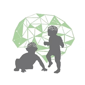 脑智发育计划 