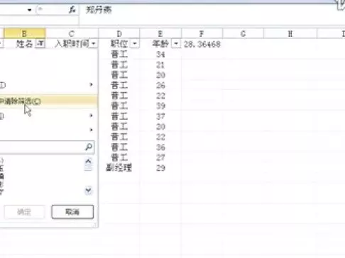 Excel高级筛选