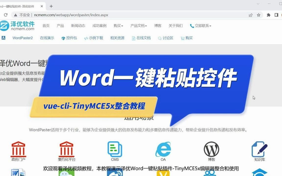 vue2-cli-TinyMCE 5x编辑器一键粘贴Word