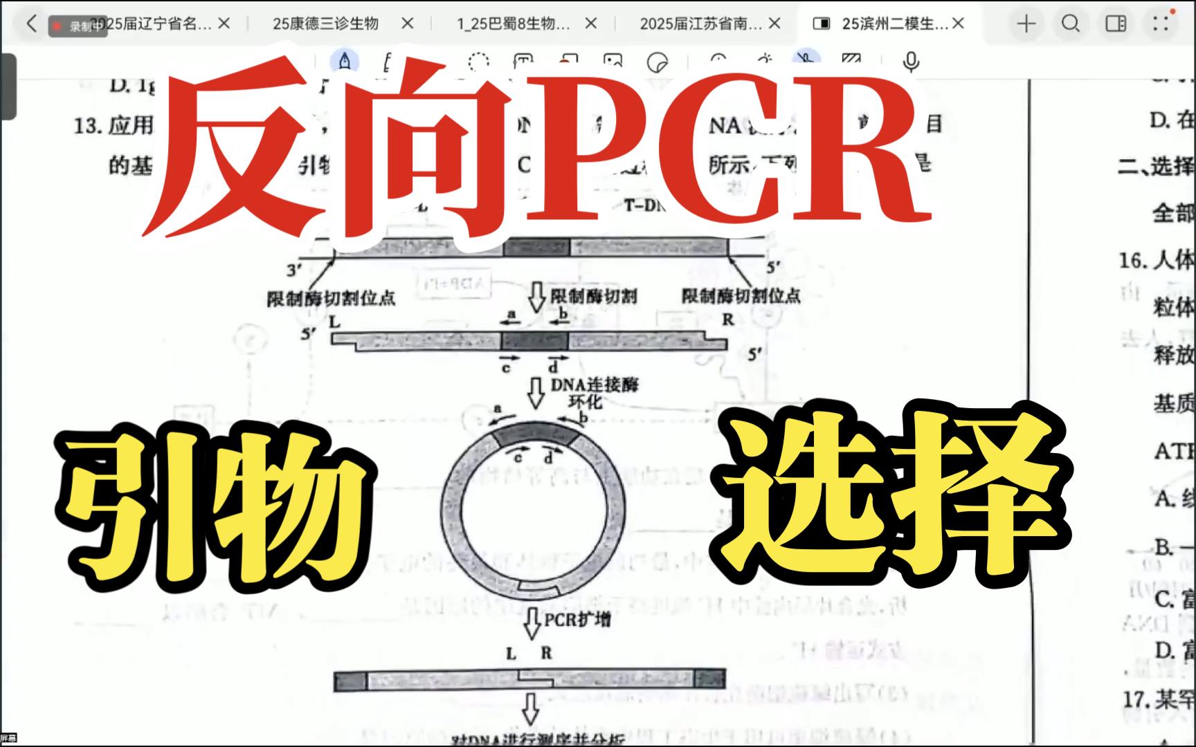 反向PCR!引物的选择问题!新高考生物必会!