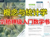 概念与统计学!剑桥神级入门数学书!