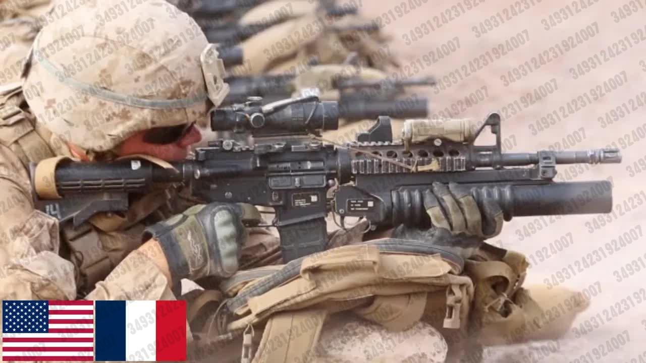 ...美国海军陆战队。美国和法国军队在非洲吉布提举行联合作战演习。