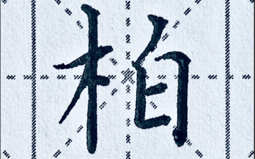 楷书“柏”字|“柏”字的两种经典写法,你学废了吗?