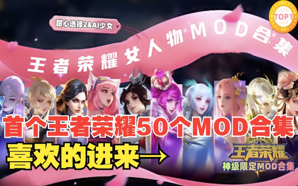 【HS2/AI少女/room girl/甜心选择2】全部50位王者荣耀MOD合集分享 ...